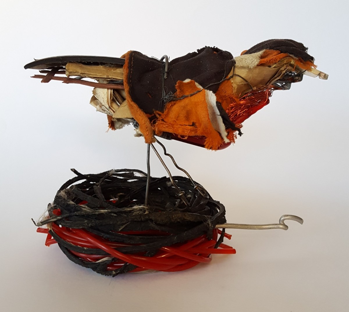 American Robin – Penny Babel