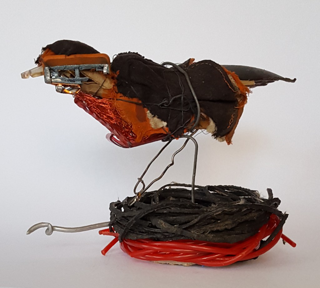 American Robin – Penny Babel