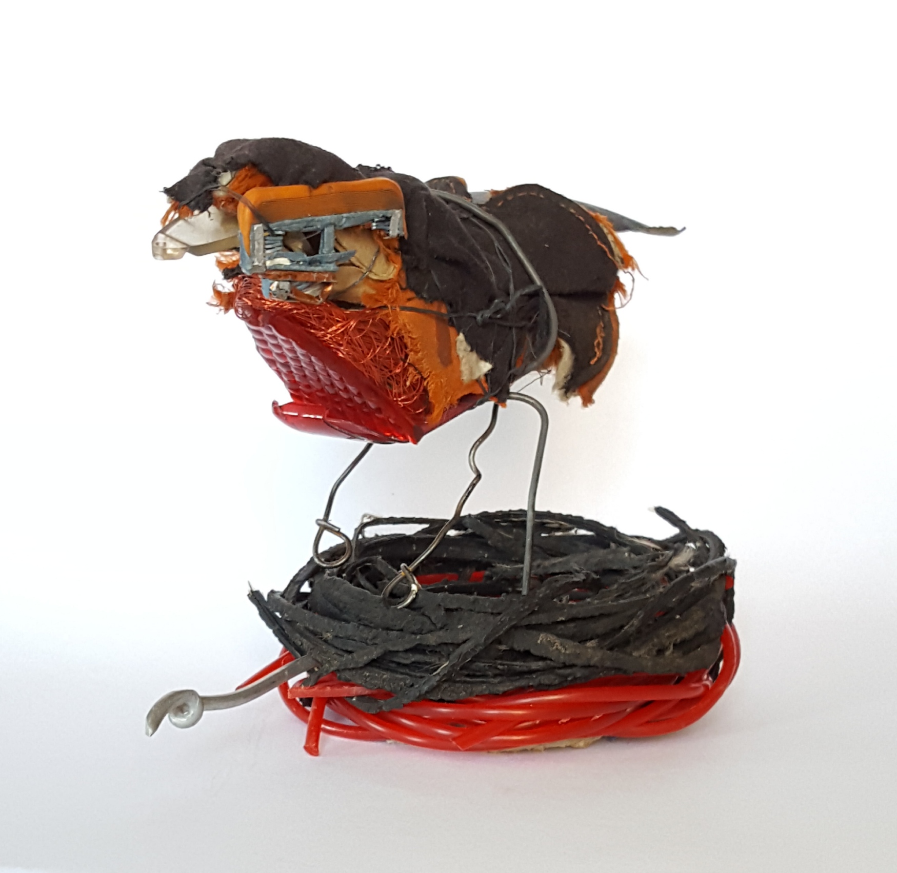 American Robin – Penny Babel
