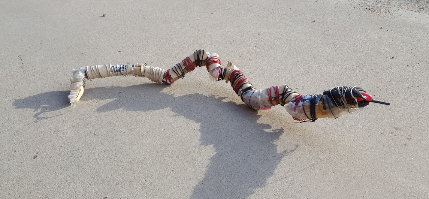 REPTILES – Penny Babel